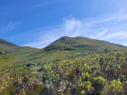 Best Hikes and Trails in Onrus River | AllTrails