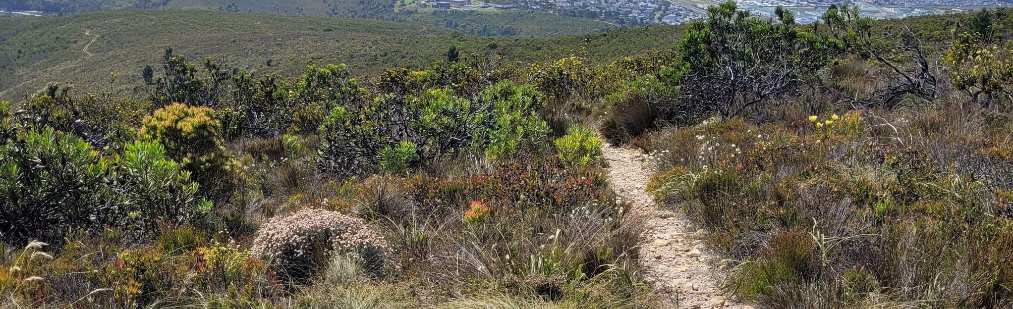 Onrusberg via Kidbrooke: 6 Reviews, Map - Western Cape, South Africa ...