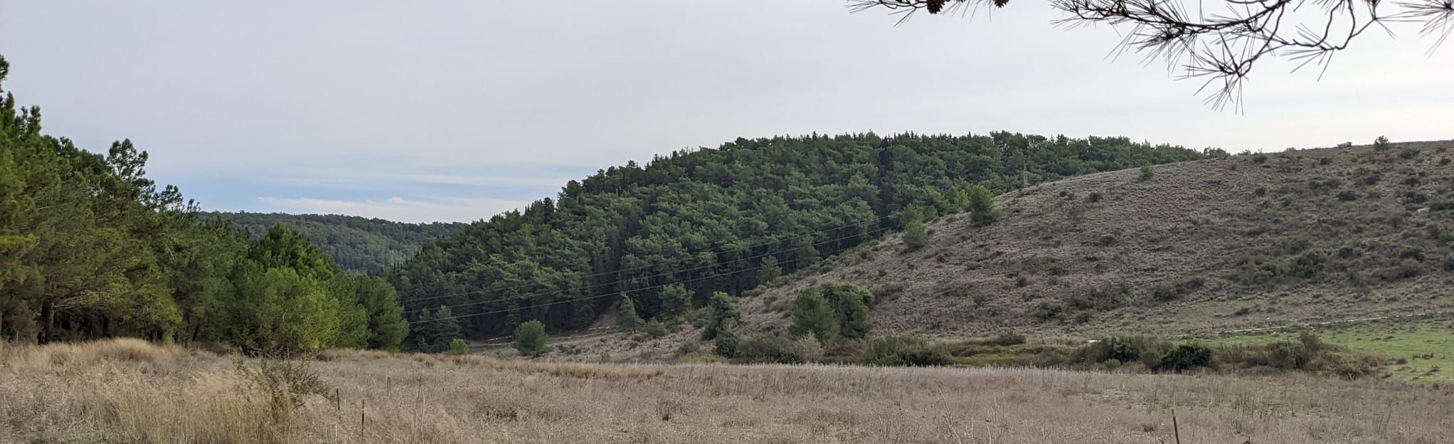 Ein HaShofet Forest to Yokneam Illit via Mishol Hill, Northern District ...