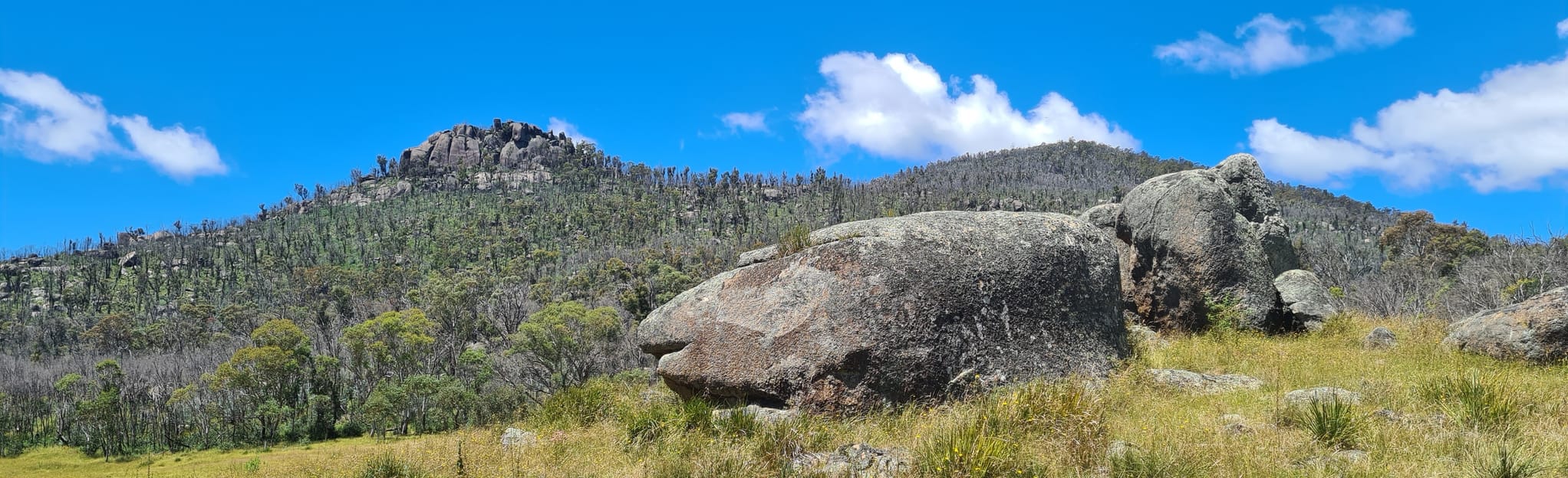 Orroral Valley Explorer, Australian Capital Territory, Australia - 8 ...