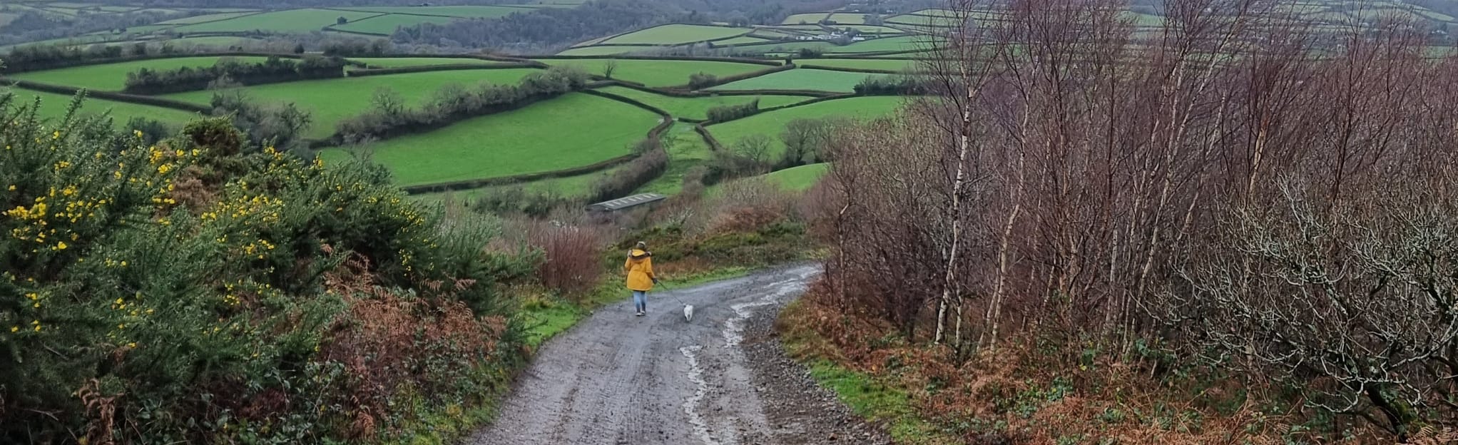 Ramshorn Down Circular, Devon, England - Map, Guide | AllTrails