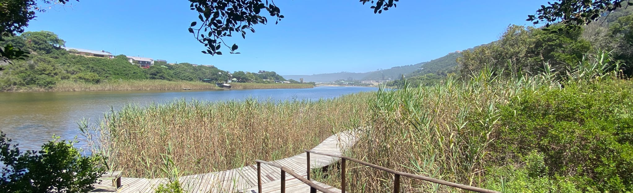 Whites Road Bosduif - Pied Kingfisher, Western Cape, South Africa - 26 ...
