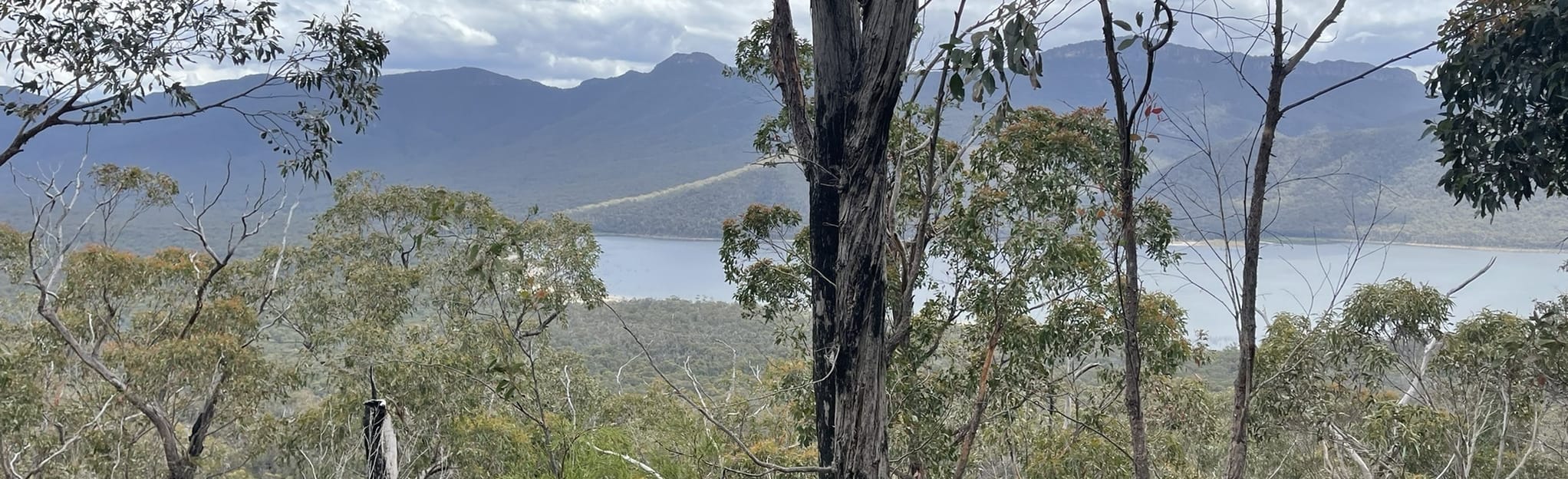 Tunnel Track to Bellfield Lake: 14 Reviews, Map - Victoria, Australia ...