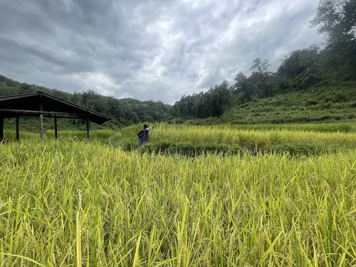 Best Hikes and Trails in Mae Wang National Park | AllTrails