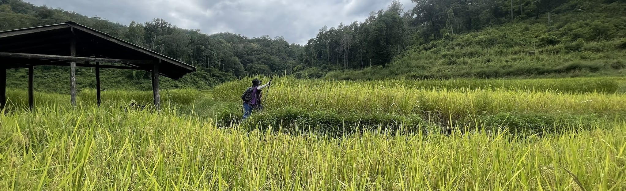 Mae Wang Waterfall: 55 fotos - Chiang Mai, Tailândia | AllTrails