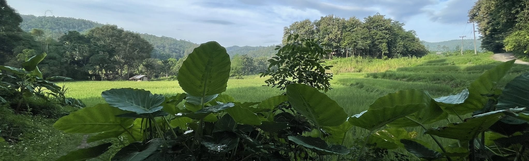 Mae Wang Elephant Camp Loop, Chiang Mai, Thailand - 22 Reviews, Map ...