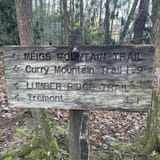 Lumber Ridge Trail, Tennessee - 211 Reviews, Map | AllTrails