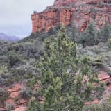 Secret Canyon Trail, Arizona - 152 Reviews, Map | AllTrails