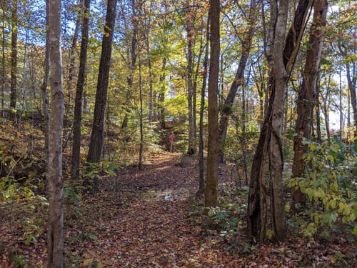 Best Hikes and Trails in Pilot Knob State Nature Preserve | AllTrails