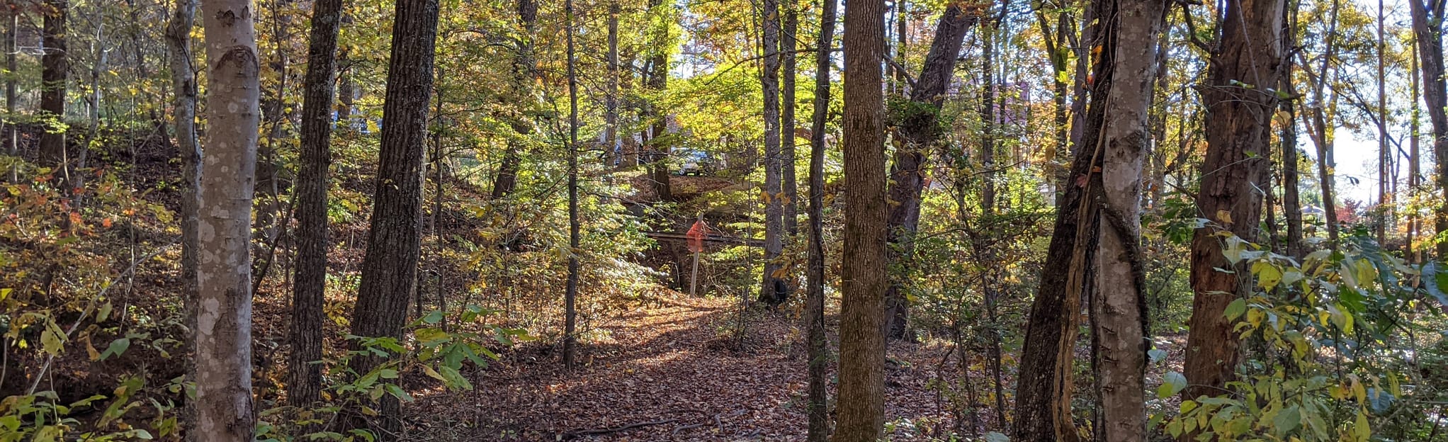 Millstone Quarry Trail, Kentucky - 35 Reviews, Map | AllTrails