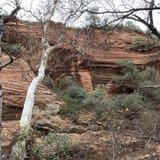 Secret Canyon Trail, Arizona - 152 Reviews, Map | AllTrails