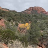 Secret Canyon Trail, Arizona - 152 Reviews, Map | AllTrails