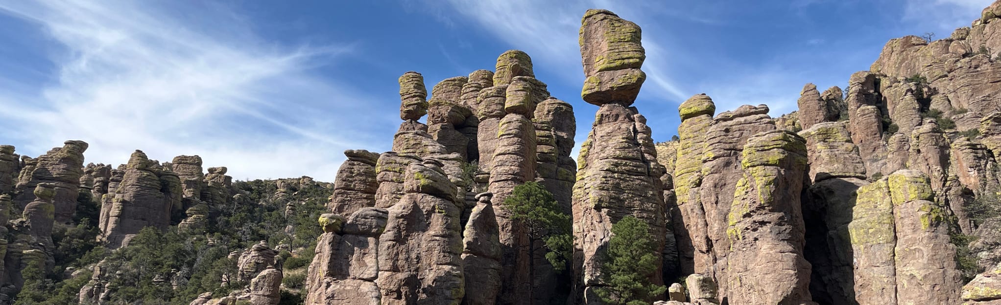 Echo Canyon Loop, Arizona - 1,373 Reviews, Map | AllTrails