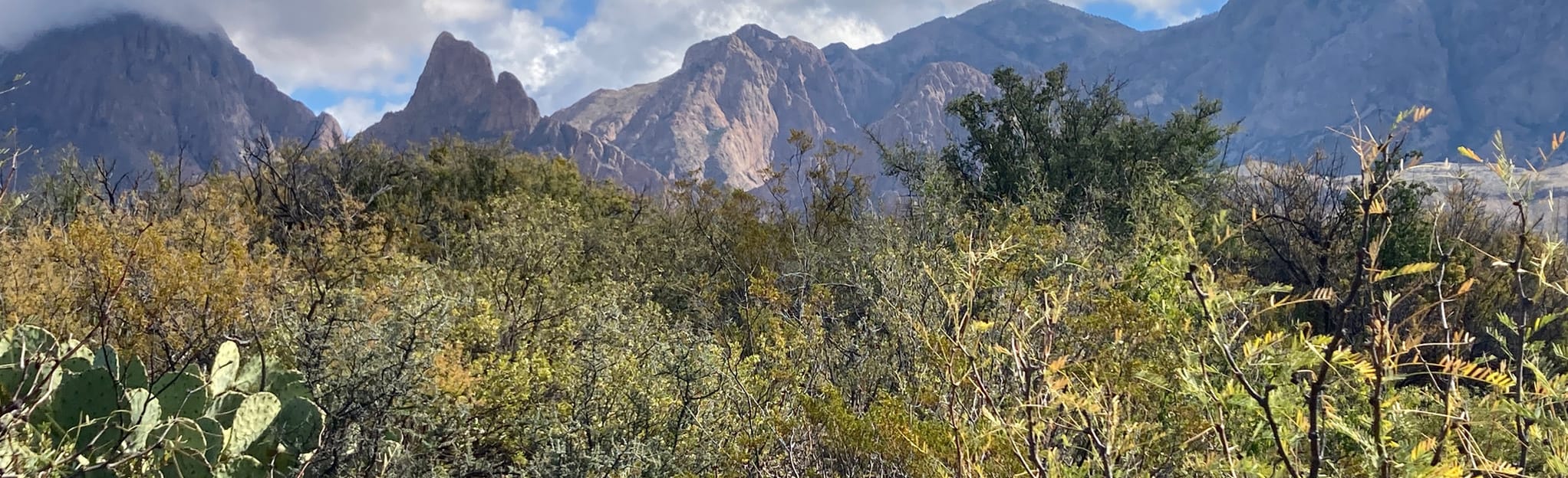 Sam Nail Ranch Trail, Texas - 211 Reviews, Map | AllTrails