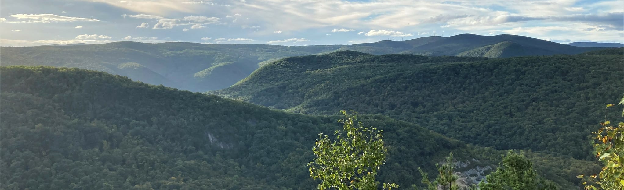 Bear Swamp Trail, 59 Photos - Massachusetts | AllTrails