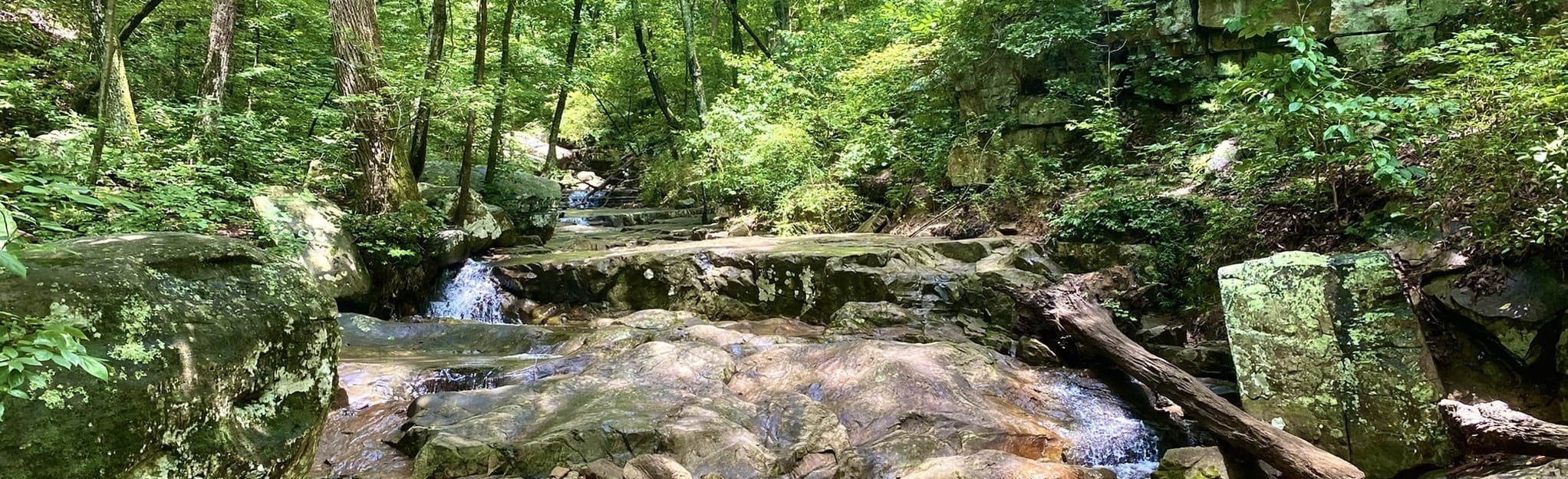 Glenn Falls via Guild Trail, Tennessee - 450 Reviews, Map | AllTrails