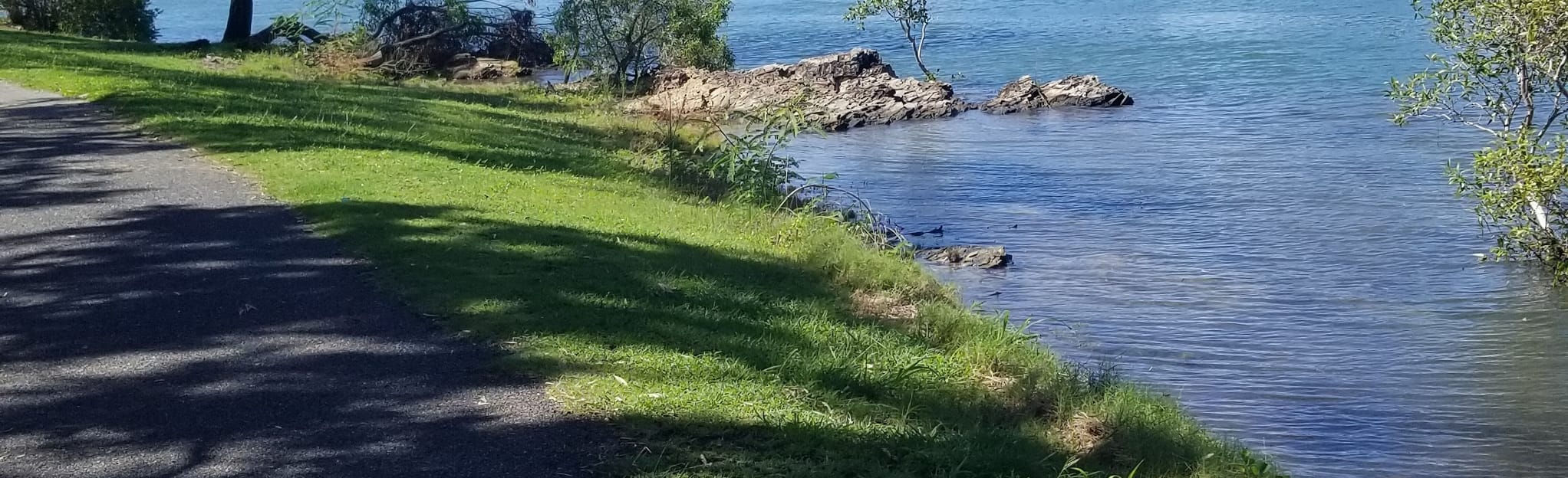 Canoe Point Environmental Park Circuit: 8 Reviews, Map - Queensland ...