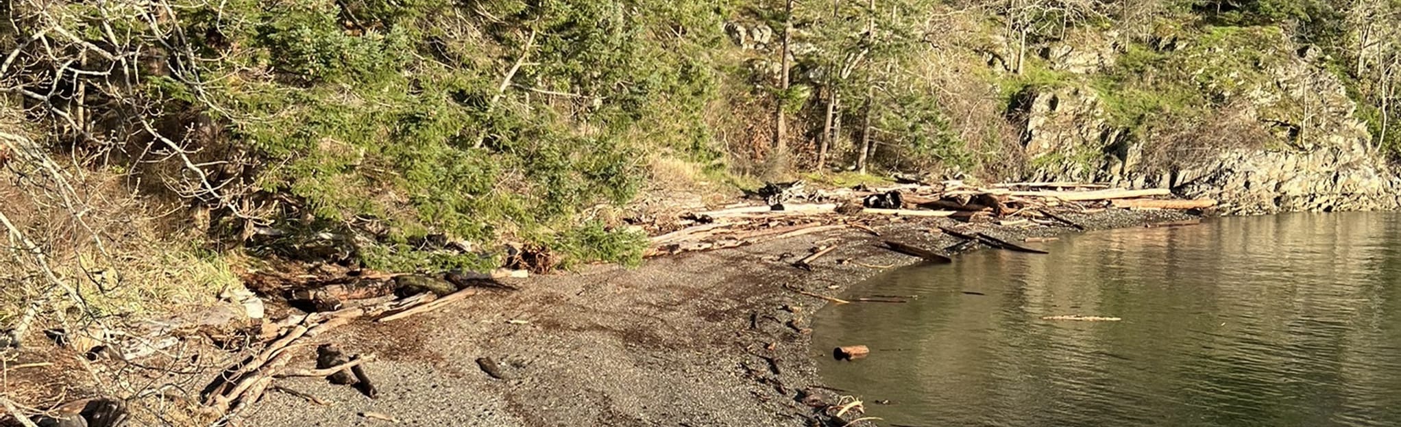 Beachcomber Park, British Columbia, Canada - 28 Reviews, Map | AllTrails