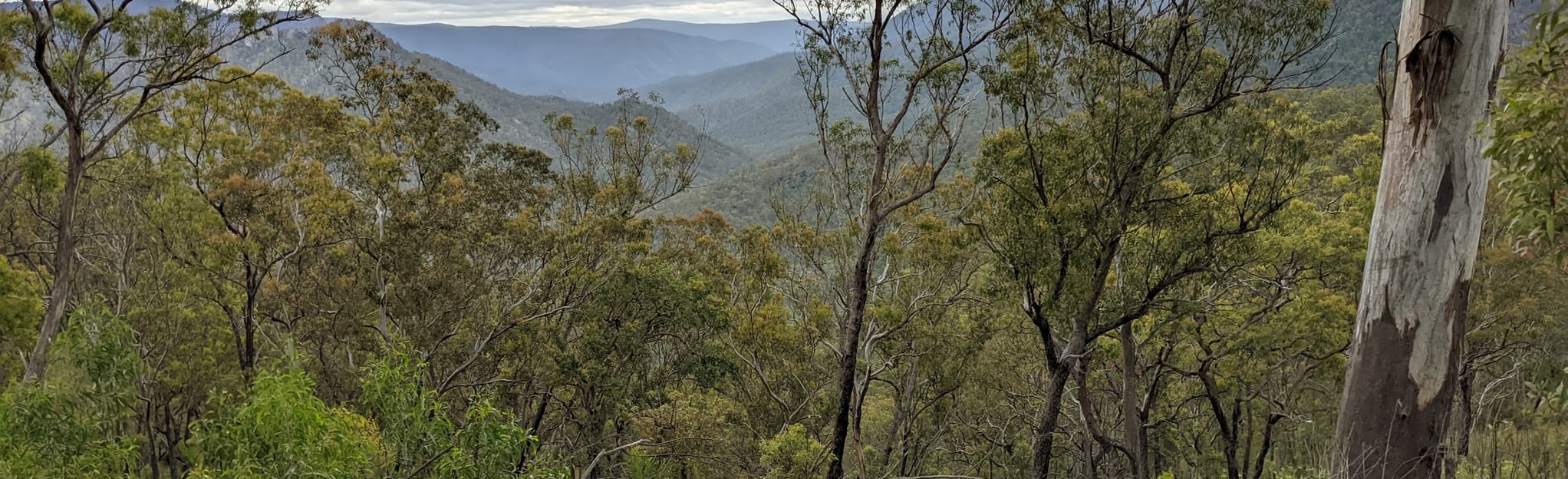 Green Gully Track: Day 2 Green Gully Hut | Map, Guide - New South Wales ...
