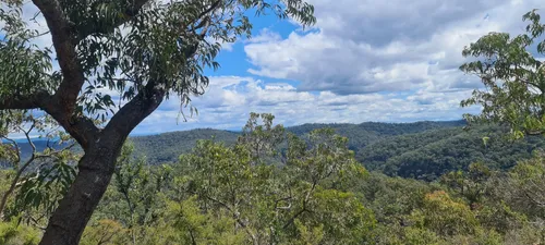 10 Best Forest Trails in Dharug National Park | AllTrails