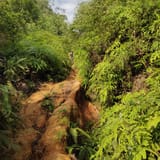 Buntong Falls, Perak, Malaysia - 17 Reviews, Map | AllTrails