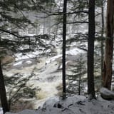 Swift River Lower Falls, New Hampshire - 175 Reviews, Map | AllTrails