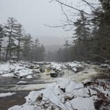 Swift River Lower Falls, New Hampshire - 175 Reviews, Map | AllTrails