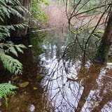 Killarney Lake Loop , British Columbia, Canada - 354 Reviews, Map ...