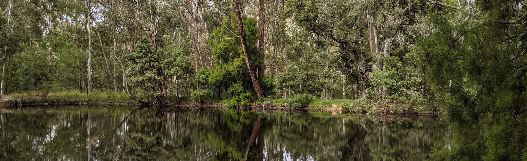 Bridgewater to Mt George summit, South Australia, Australia - 50 ...