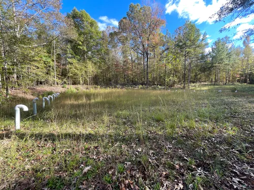 Best Hikes and Trails in Lake Sinclair Recreation Area | AllTrails