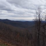 Trace Ridge Trail, North Carolina - 51 Reviews, Map | AllTrails