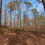 Overlook Trail at Buffalo Point, Arkansas - 206 Reviews, Map | AllTrails