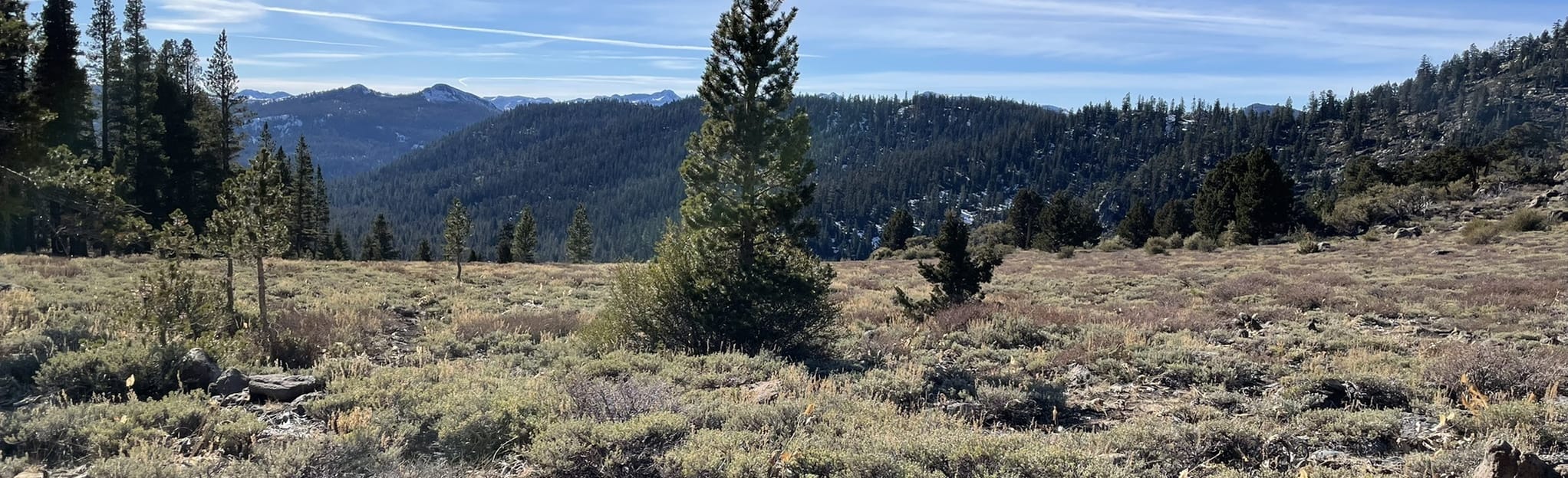 Horsethief Canyon Trail: 78 Reviews, Map - California | AllTrails