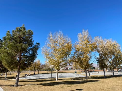 Best Hikes and Trails in Red Ridge Park | AllTrails