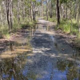 Deagon Wetlands Loop, Queensland, Australia - 32 Reviews, Map | AllTrails