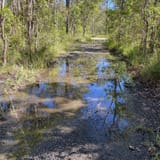 Deagon Wetlands Loop, Queensland, Australia - 32 Reviews, Map | AllTrails