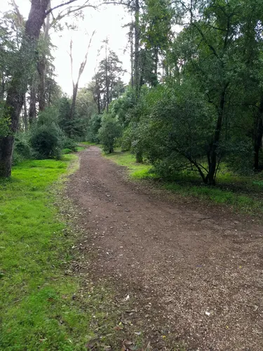 10 Best Hikes and Trails in Monsanto Forest Park | AllTrails