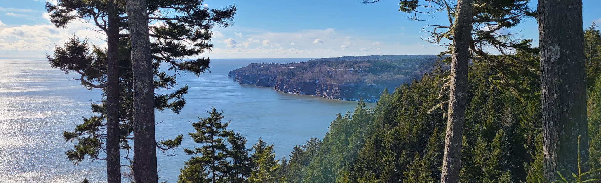 Fundy Trail Pathway: 61 Reviews, Map - New Brunswick, Canada | AllTrails