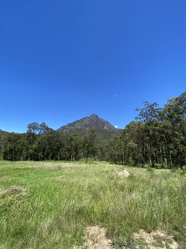 10 Best Hikes and Trails in Mount Barney National Park | AllTrails
