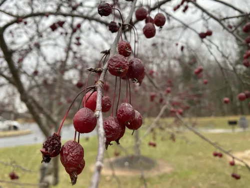 Best Hikes and Trails in Old National Pike District Park | AllTrails