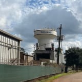 Longleaf Trace Trail, Mississippi - 306 Reviews, Map | AllTrails