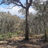 Mount Jerrabomberra, New South Wales, Australia - 186 Reviews, Map ...