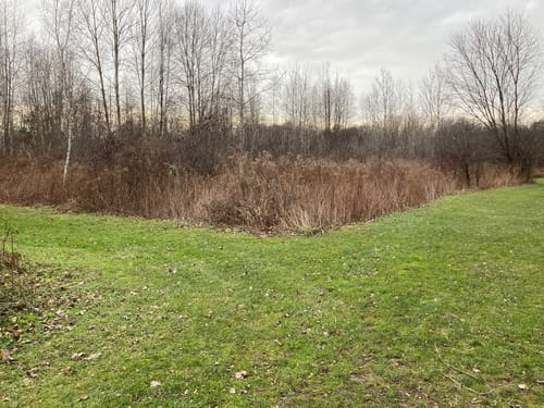 2023 Best Forest Trails in Camillus | AllTrails
