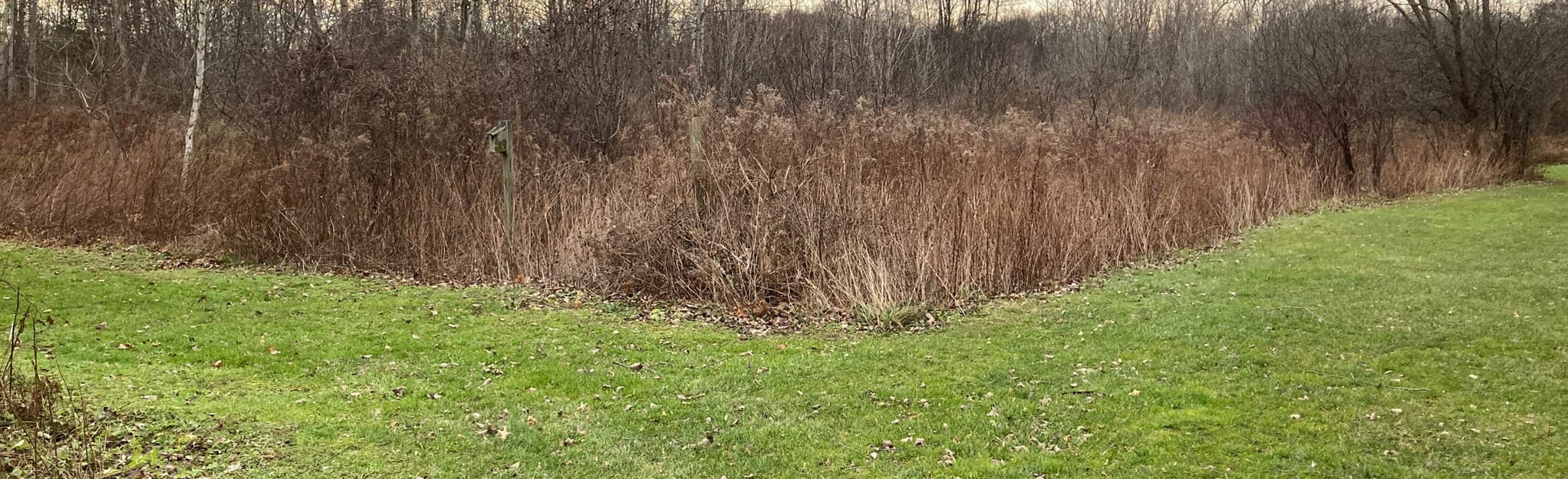 CMS Nature Center, New York - 13 Reviews, Map | AllTrails