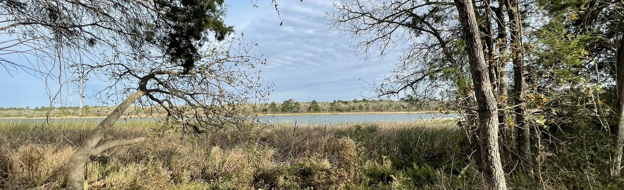 Lewis Point Trail, Texas - 17 Reviews, Map | AllTrails