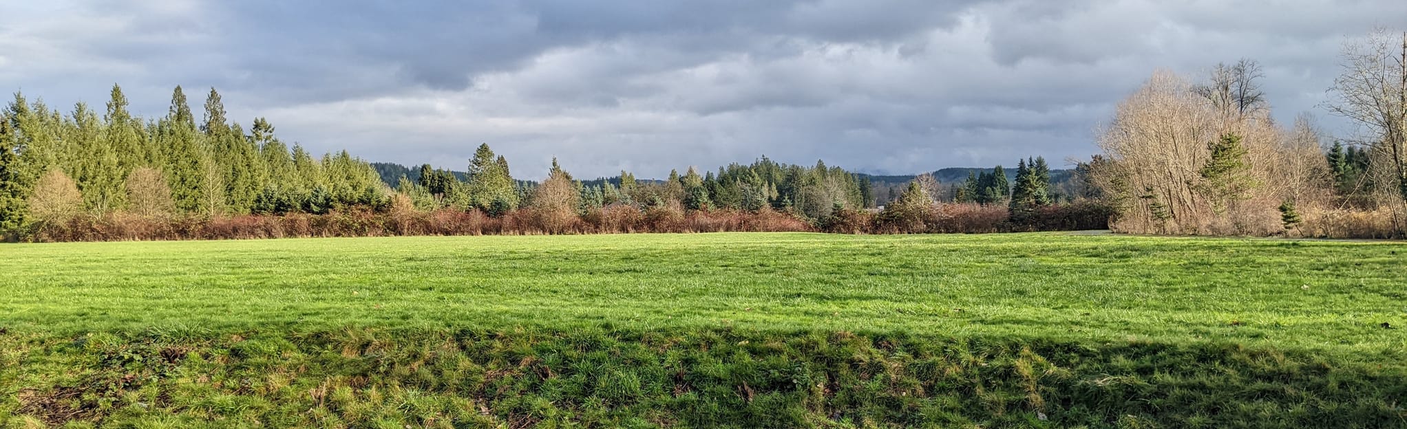 Log Jam Trail: 64 Reviews, Map - Washington | AllTrails