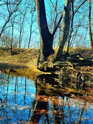 2023 Best Wild Flowers Trails in Lone Jack | AllTrails