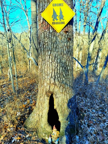 Best Hikes and Trails in Blue & Gray Park Preserve | AllTrails