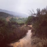 Tenaja Canyon via Tenaja Trail, California - 181 Reviews, Map | AllTrails