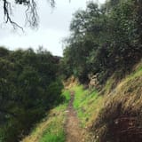 Tenaja Canyon via Tenaja Trail, California - 181 Reviews, Map | AllTrails